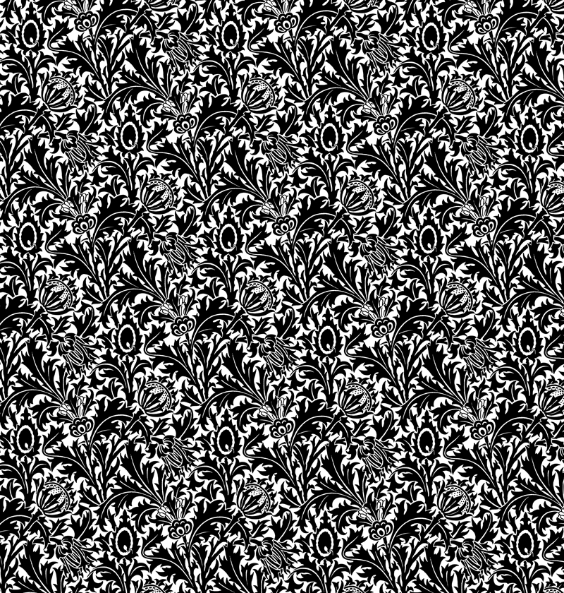 Queens of the Stone Age, Capitol Theatre, Port Chester NY - Chuck Sperry